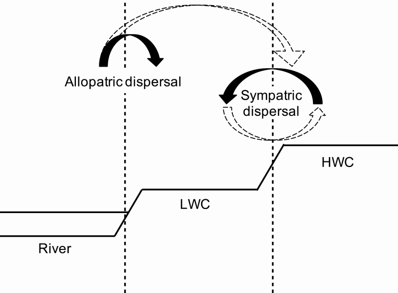 Spatial genetic structure of the invasive tree Robinia pseudoacacia to determine migration ...