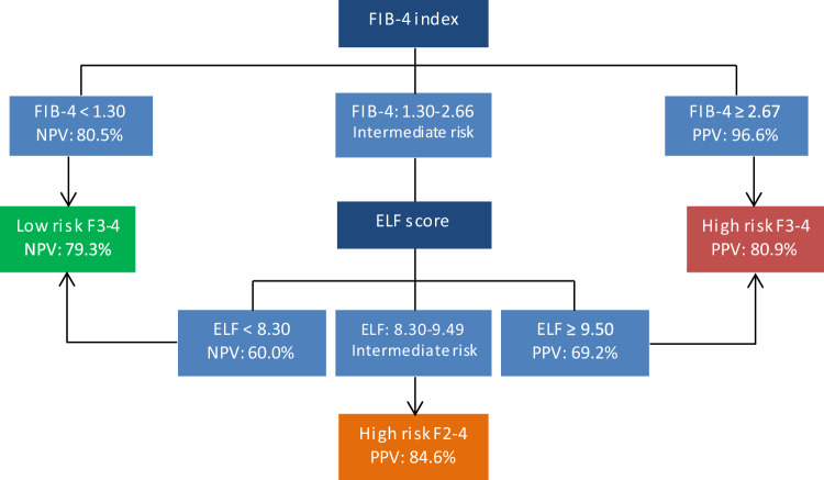 Accuracy of a sequential algorithm based on FIB-4 and ELF to identify high-risk advanced liver ...