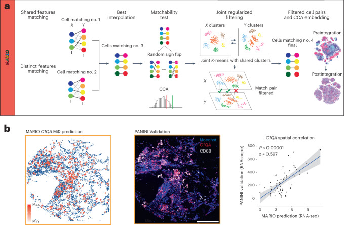 Confident multimodal analysis of single cells across platforms and ...