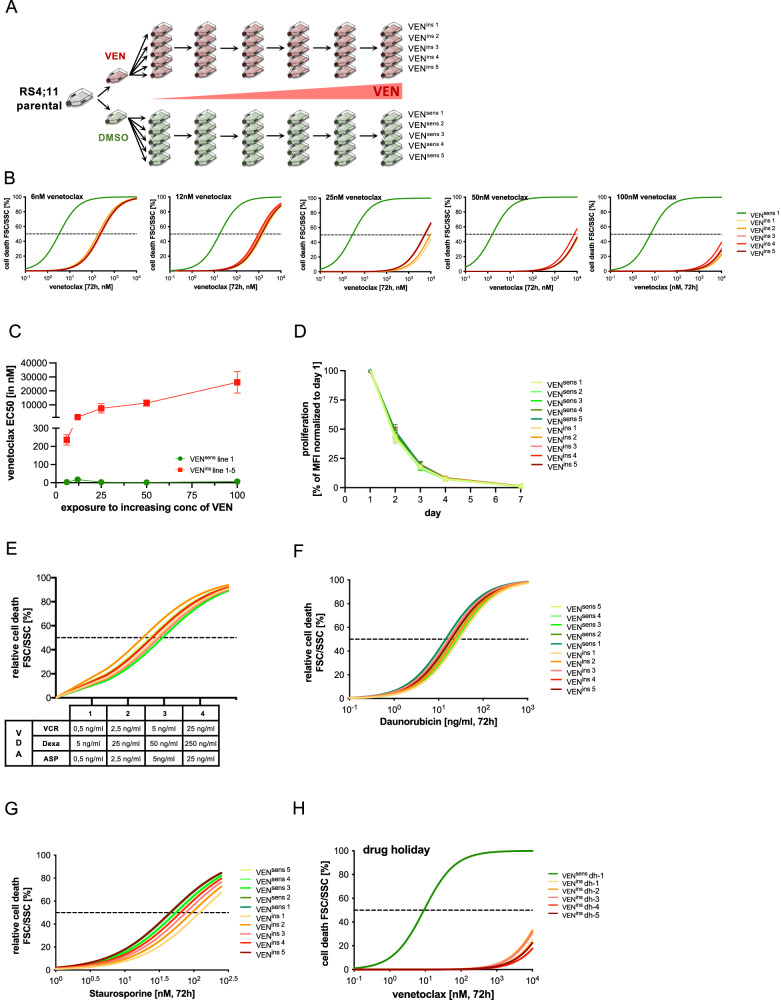 Venetoclax resistance in acute lymphoblastic leukemia is characterized by increased ...