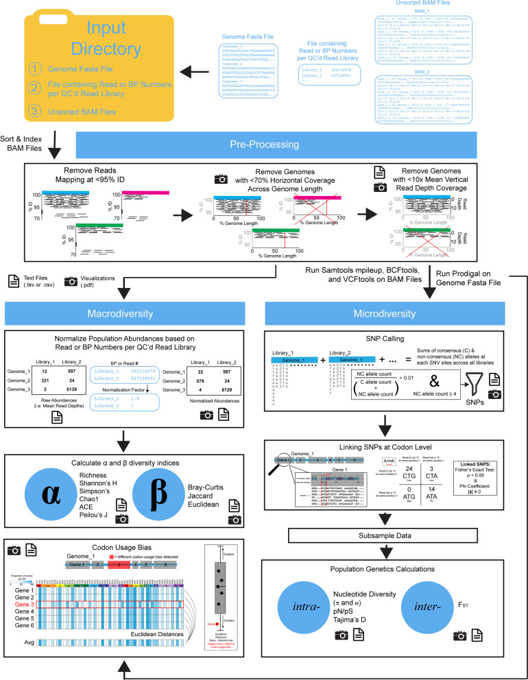 MetaPop: a pipeline for macro- and microdiversity analyses and visualization of microbial and ...