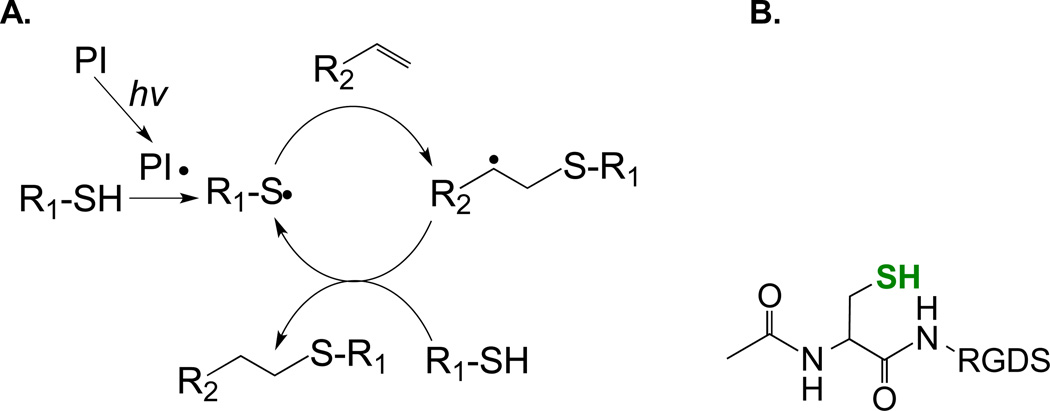 Recent advances in crosslinking chemistry of biomimetic poly(ethylene glycol) hydrogels - PMC