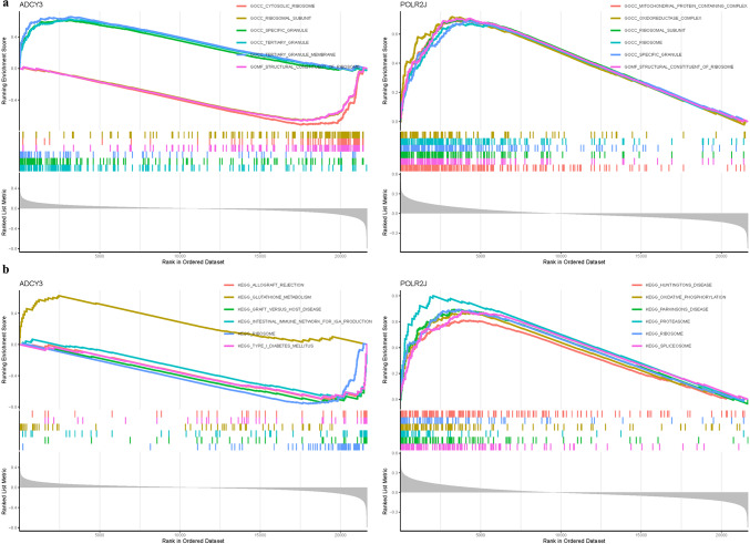 Utilizing integrated bioinformatics and machine learning approaches to elucidate biomarkers ...