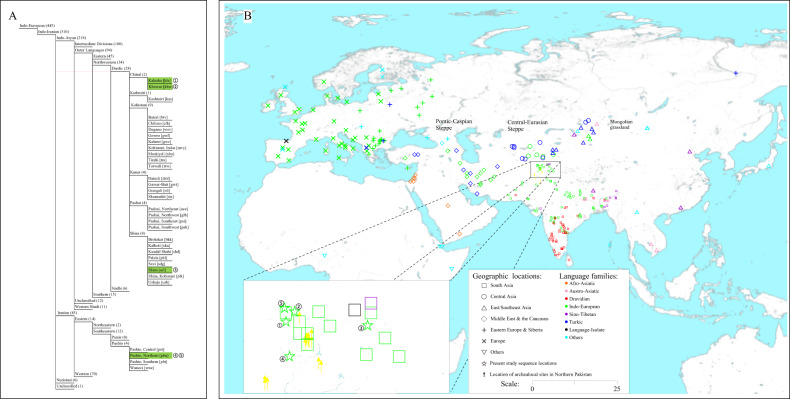 Complete mitogenomes document substantial genetic contribution from the Eurasian Steppe into ...