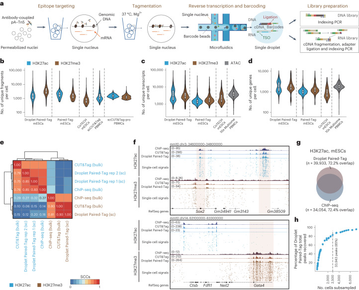 Droplet-based single-cell joint profiling of histone modifications and transcriptomes - PMC