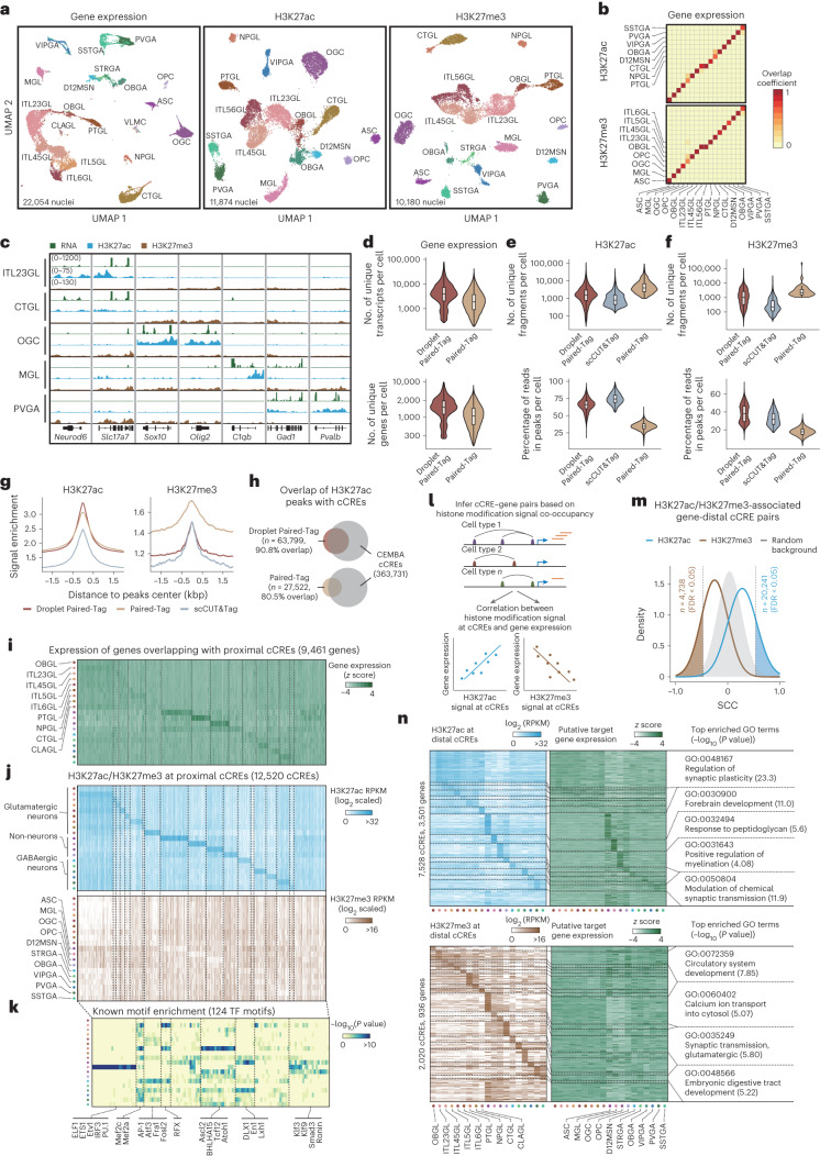 Droplet Based Single Cell Joint Profiling Of Histone Modifications And