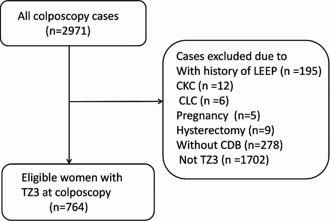 Evaluation of the diagnostic performance of colposcopy in the detection ...