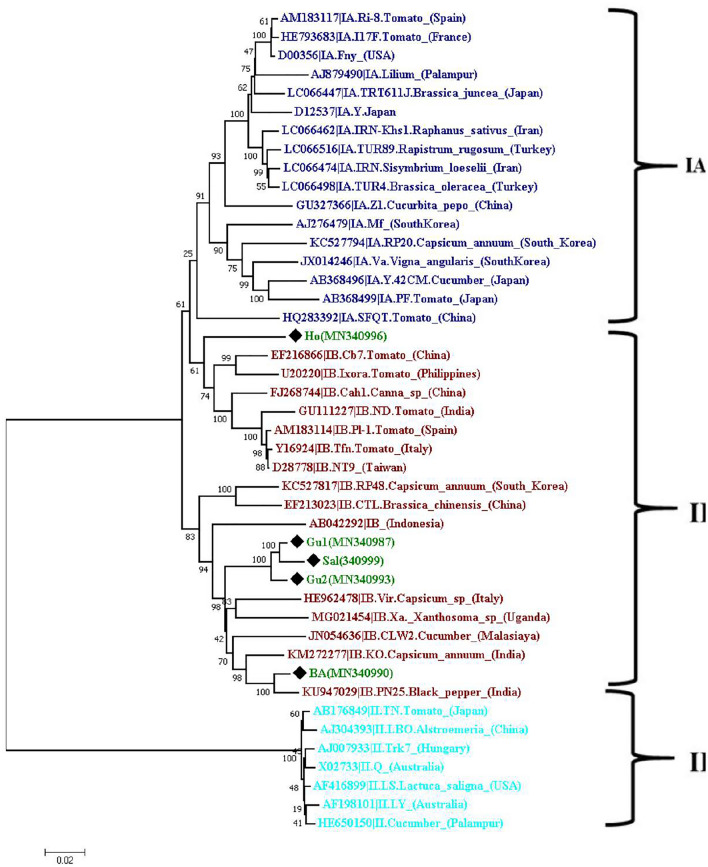Genome sequencing of cucumber mosaic virus (CMV) isolates infecting ...