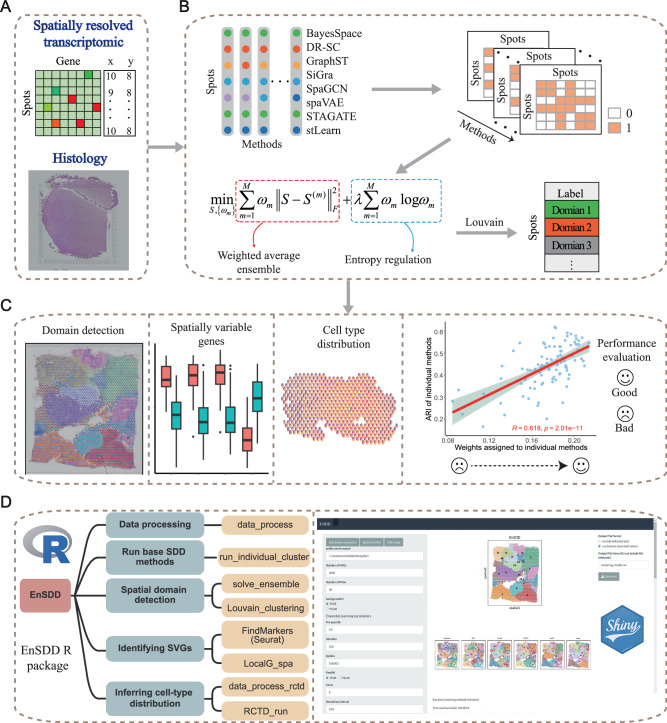 Enhancing spatial domain detection in spatial transcriptomics with EnSDD - PMC