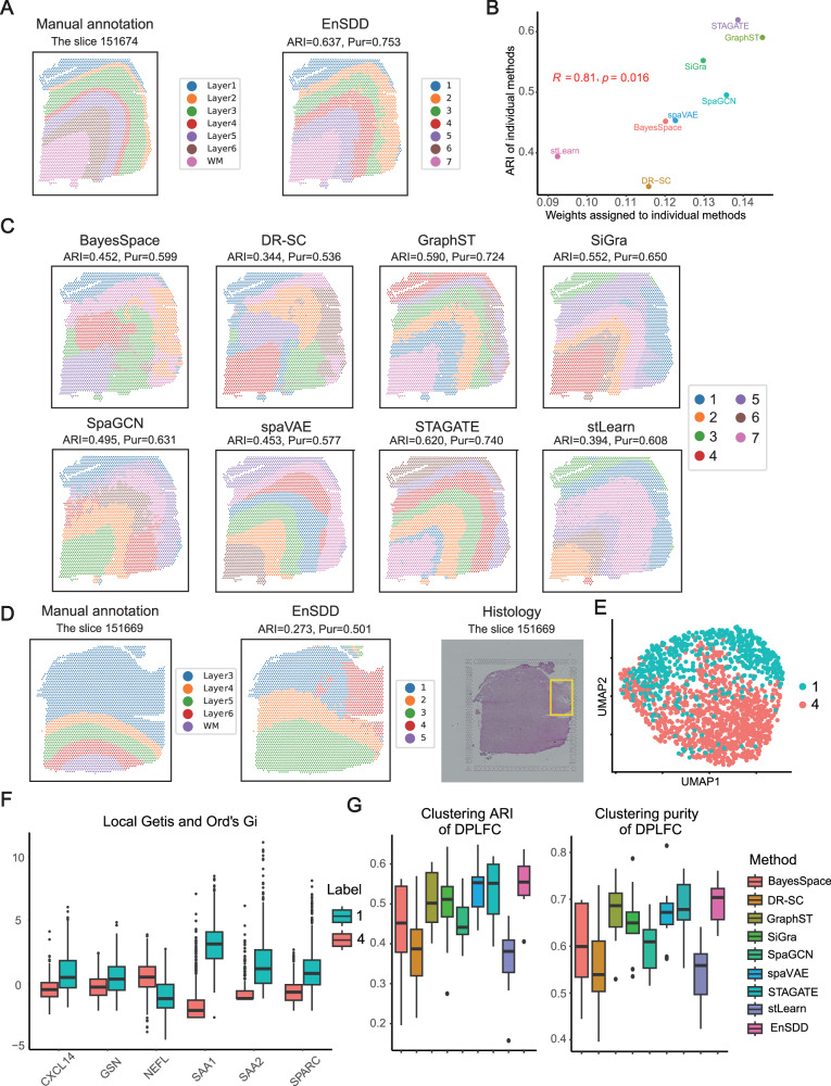 Enhancing spatial domain detection in spatial transcriptomics with EnSDD - PMC
