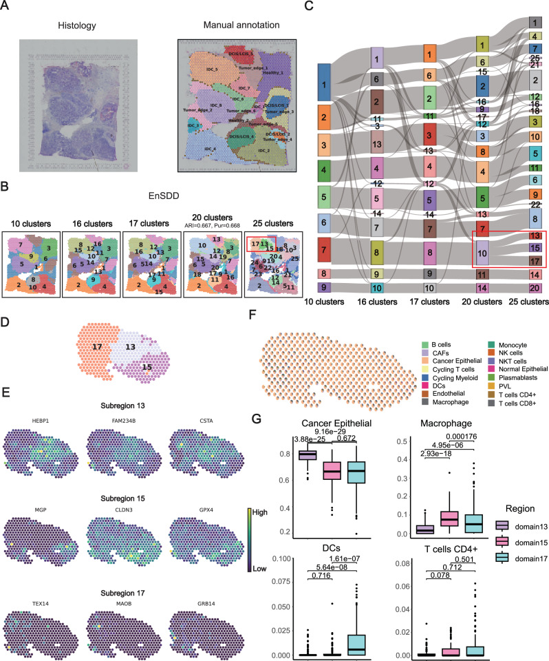 Enhancing spatial domain detection in spatial transcriptomics with EnSDD - PMC