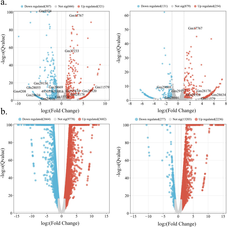 Transcriptomic profiling of long non-coding RNAs and messenger RNAs in ...