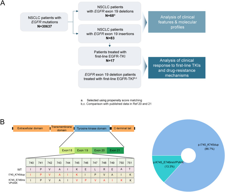 Molecular characteristics and responses to EGFR tyrosine kinase inhibitors in non-small cell ...