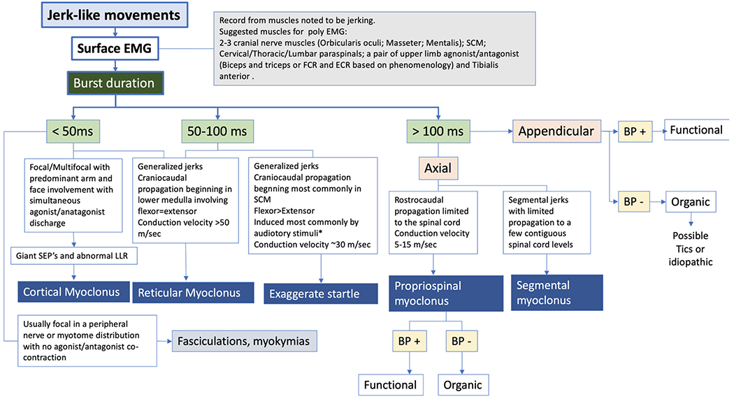 How to do an electrophysiological study of myoclonus - PMC