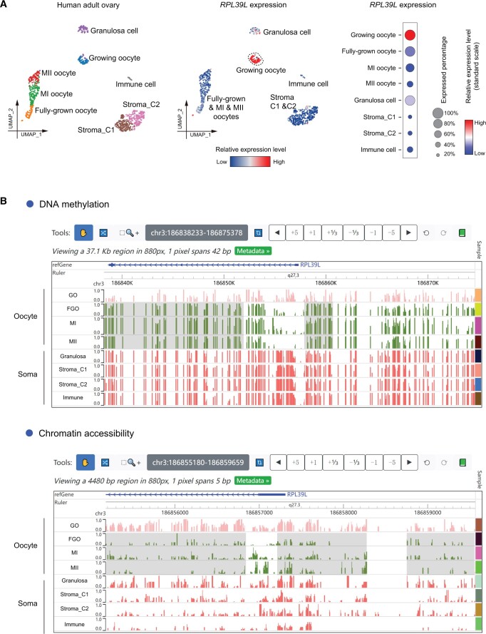 SMARTdb: An Integrated Database for Exploring Single-cell Multi-omics Data of Reproductive ...