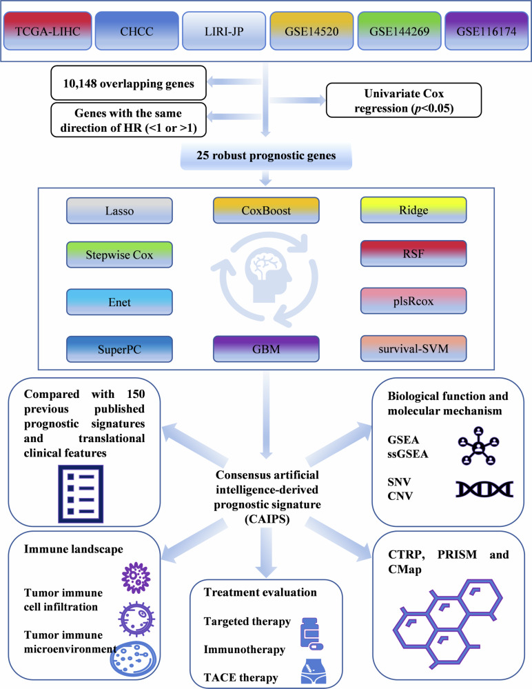 Consensus artificial intelligence-driven prognostic signature for predicting the prognosis of ...