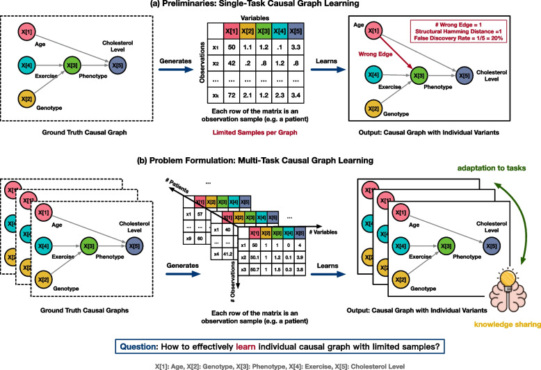 Developing a novel causal inference algorithm for personalized biomedical causal graph learning ...