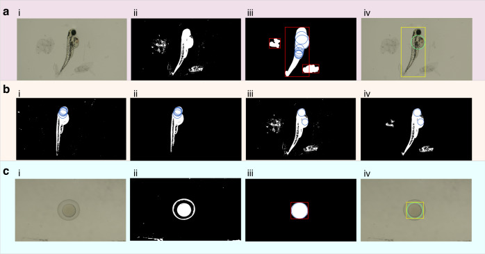 Design of an automated robotic microinjection system for batch injection of zebrafish embryos ...