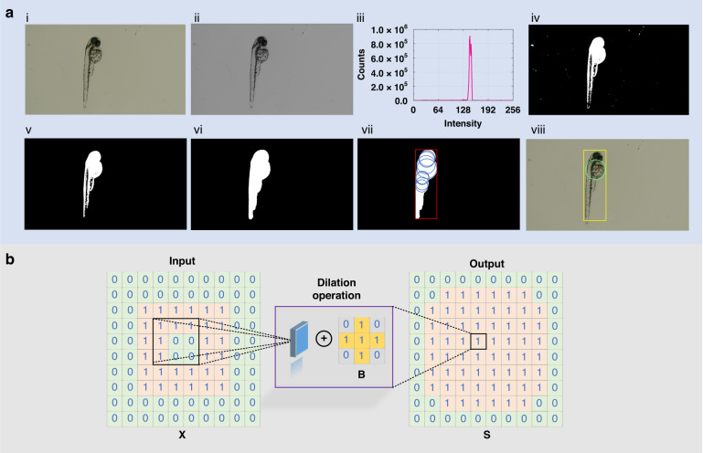 Design of an automated robotic microinjection system for batch injection of zebrafish embryos ...