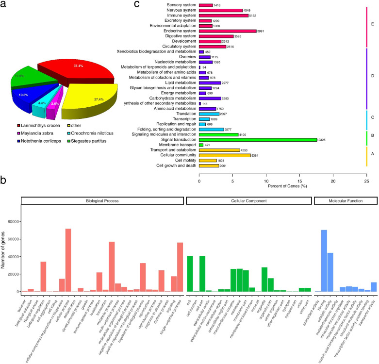 Comparative Transcriptomic Analysis Of Gonadal Development And Renewal