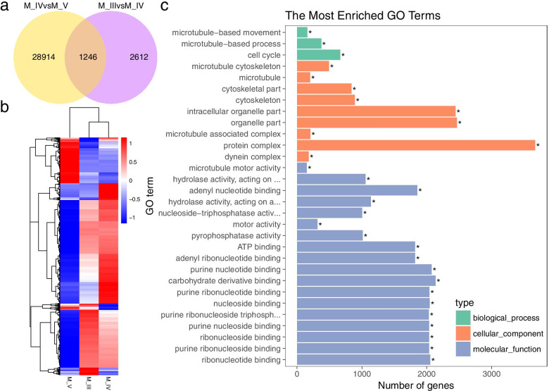 Comparative Transcriptomic Analysis Of Gonadal Development And Renewal
