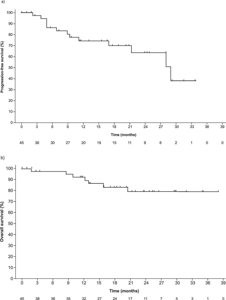 Efficacy and Safety of Ixazomib Plus Lenalidomide and Dexamethasone Following Injectable PI ...