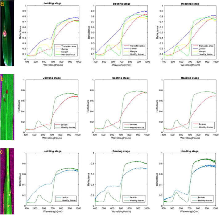 Classification of rice leaf blast severity using hyperspectral imaging - PMC