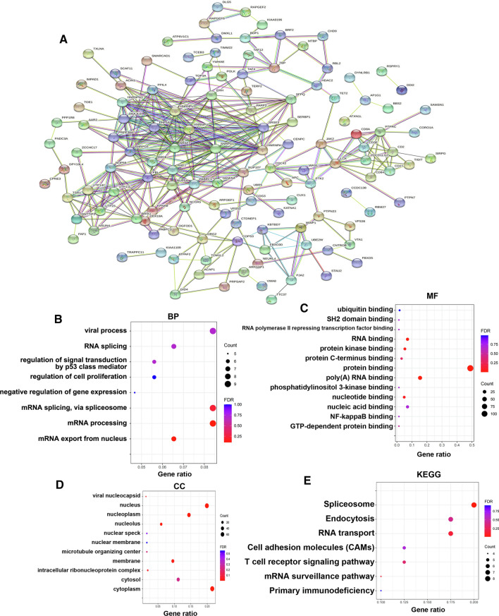 Systematic analysis of the expression profile and prognostic significance of m6A regulators and ...