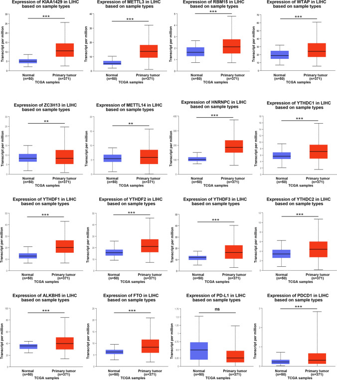 Systematic analysis of the expression profile and prognostic significance of m6A regulators and ...