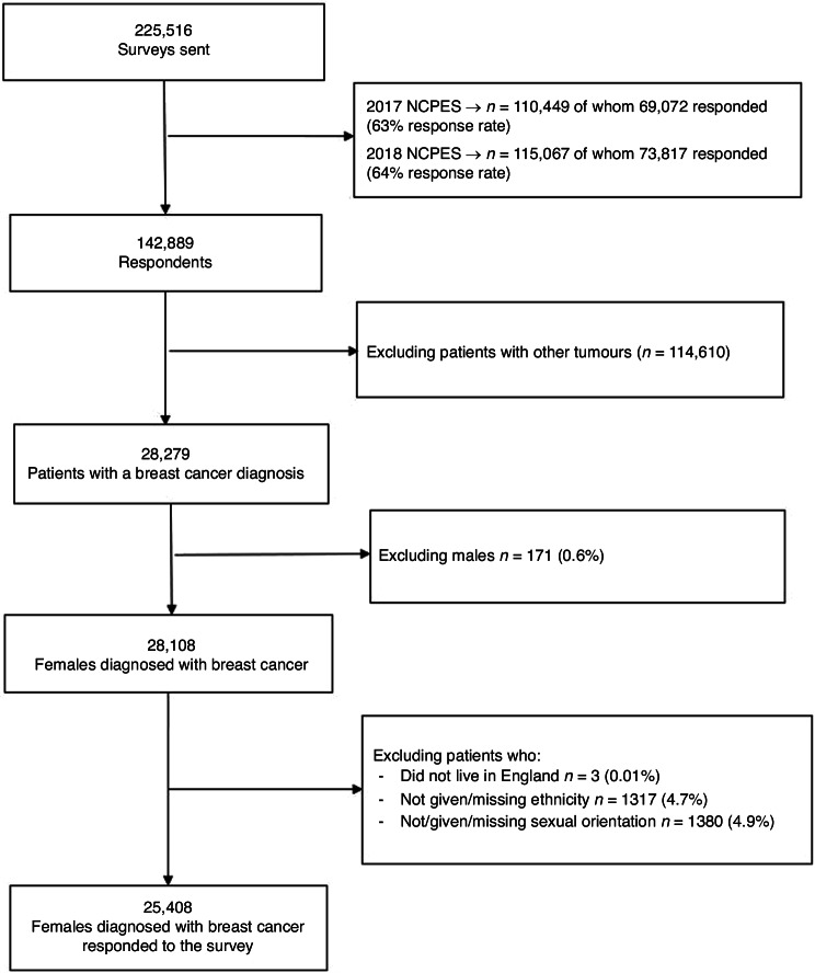 Using the Candidacy Framework to understand individual, interpersonal, and system level factors ...
