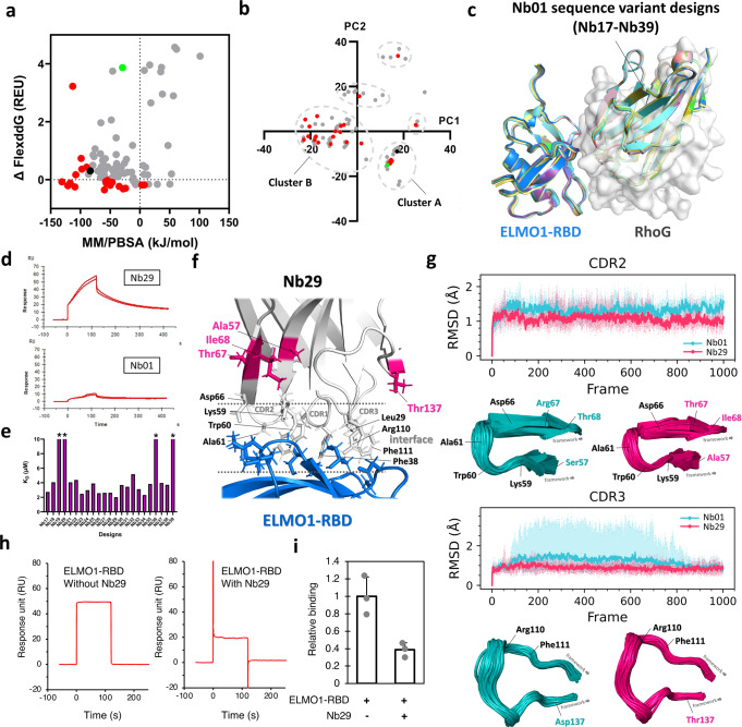 Targeting Ras-binding domain of ELMO1 by computational nanobody design - PMC