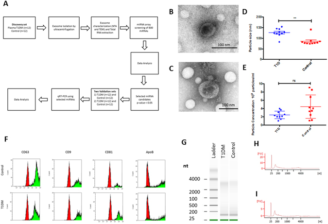 Plasma-derived exosome characterization reveals a distinct microRNA signature in long duration ...
