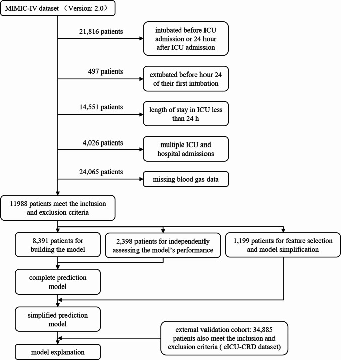 Development and external validation of an interpretable machine learning model for the ...