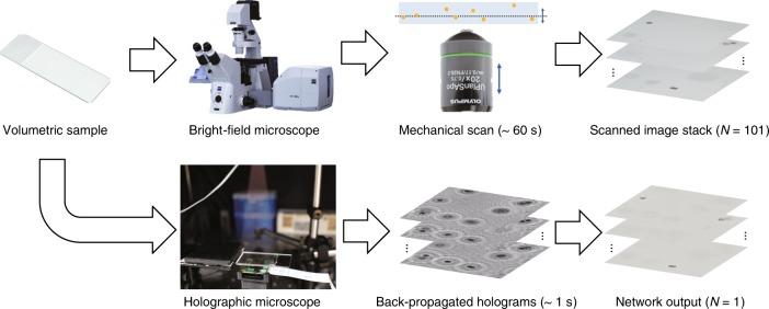 Bright-field holography: cross-modality deep learning enables snapshot 3D imaging with bright ...