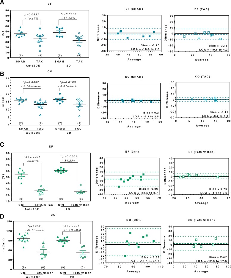 Accurate assessment of LV function using the first automated 2D-border detection algorithm for ...