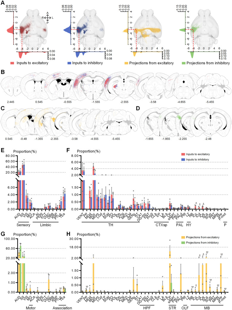 Whole-Brain Direct Inputs to and Axonal Projections from Excitatory and Inhibitory Neurons in ...