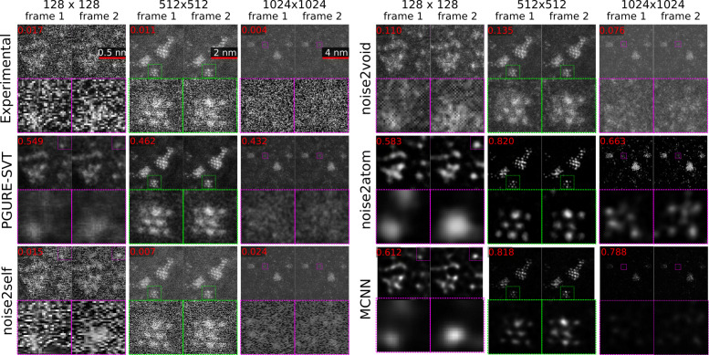 Noise2Atom: unsupervised denoising for scanning transmission electron microscopy images - PMC