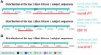 Figure 2—figure supplement 1.