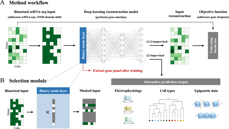 Predictive and robust gene selection for spatial transcriptomics - PMC