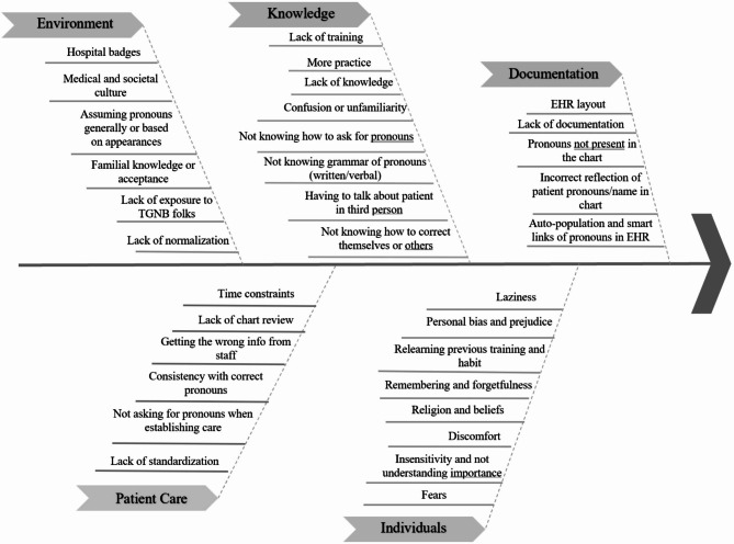 Barriers to correct pronoun usage in healthcare settings - PMC