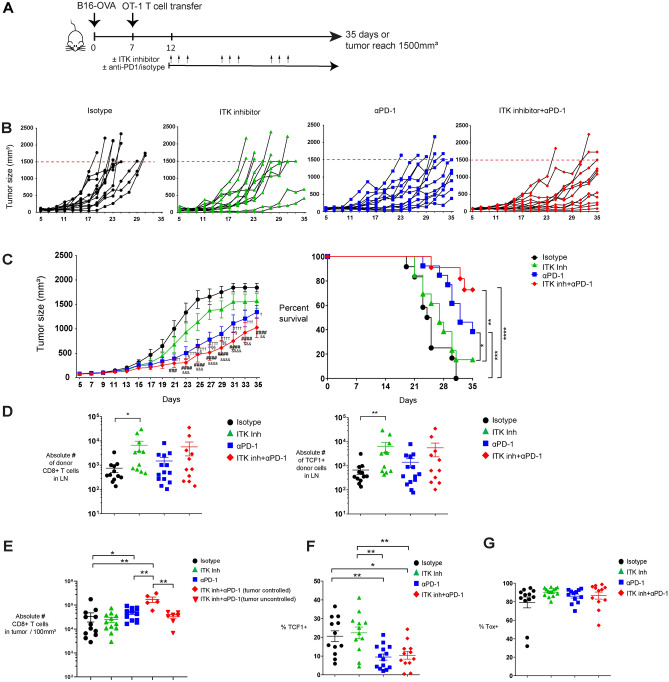 Overcoming immune checkpoint blockade resistance in solid tumors with intermittent ITK ...