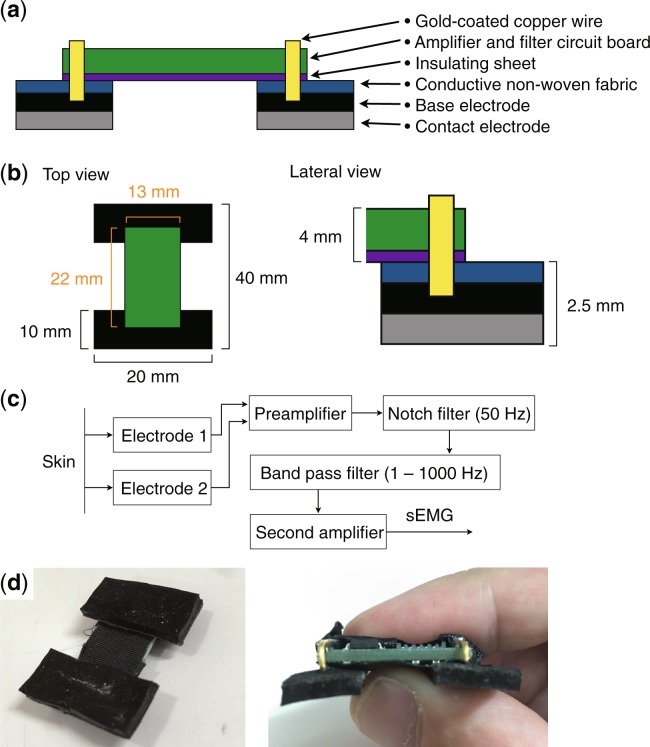 Development of an sEMG sensor composed of two-layered conductive silicone with different carbon ...