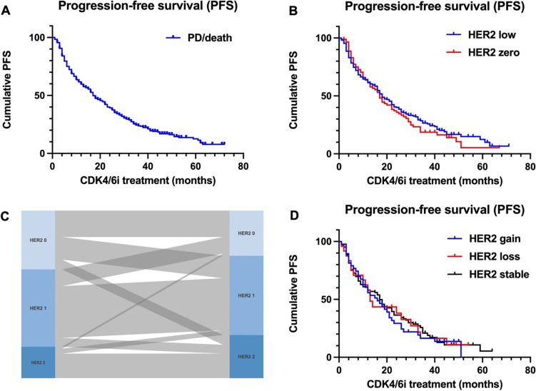 Impact of low HER2 expression on response to CDK4/6 inhibitor treatment in advanced HR + /HER2 ...