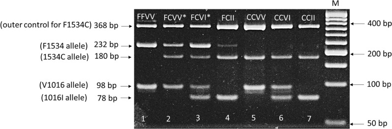 Association of 410L, 1016I and 1534C kdr mutations with pyrethroid resistance in Aedes aegypti ...