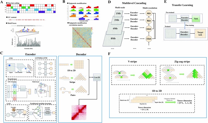 A review of deep learning models for the prediction of chromatin interactions with DNA and ...
