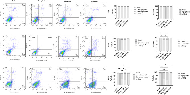 Targeted cancer treatment using a novel EGFR-specific Fc-fusion peptide based on GE11 peptide - PMC
