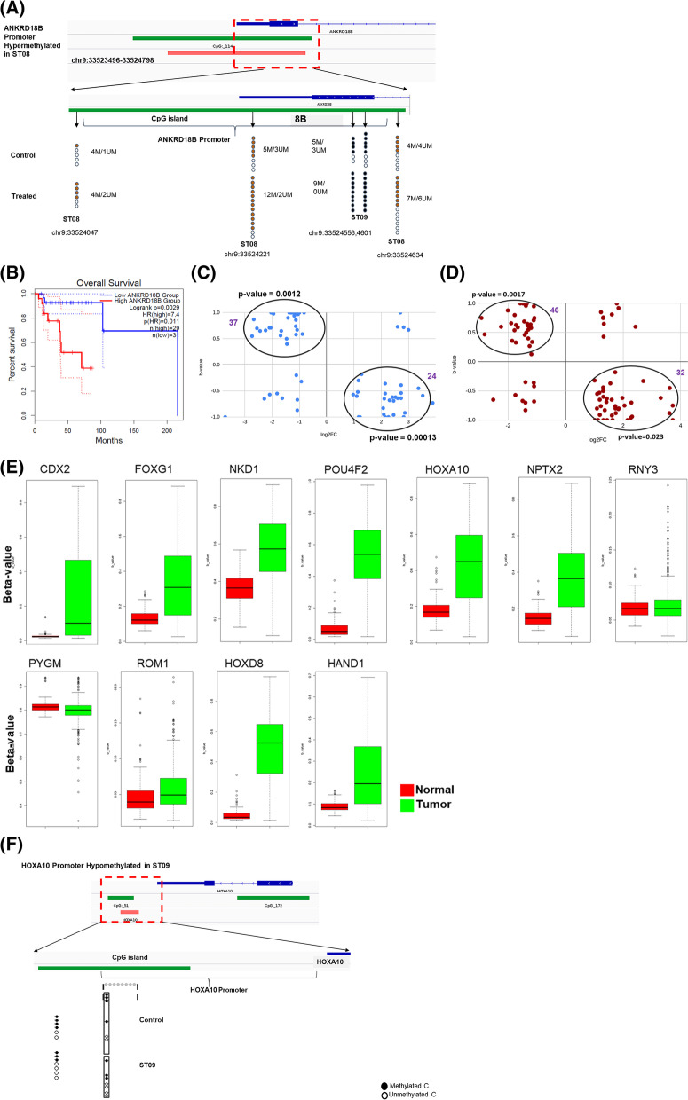 Genome-wide differential DNA methylation analysis of MDA-MB-231 breast cancer cells treated with ...