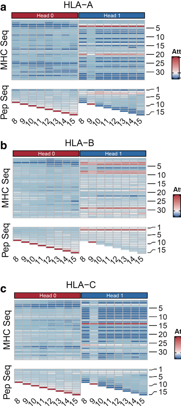 MATHLA: a robust framework for HLA-peptide binding prediction integrating bidirectional LSTM and ...