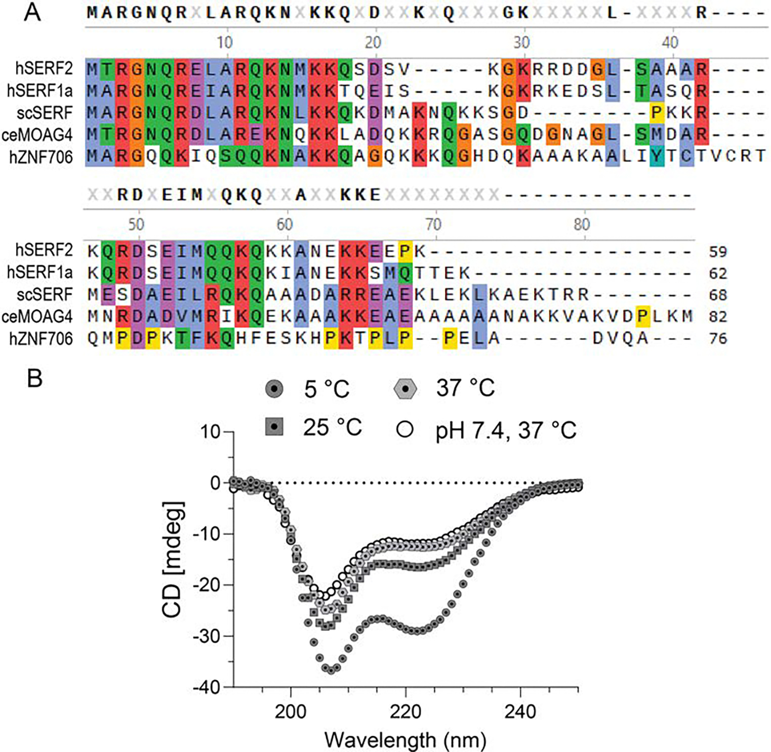 Backbone 1H, 13C, and 15N chemical shift assignments for human SERF2 - PMC