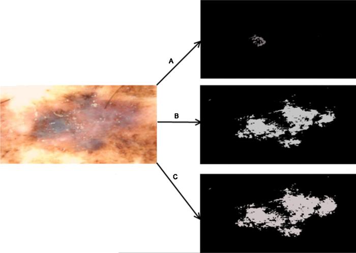 Fig. 6